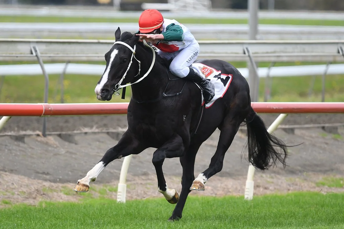 Newsletters — Marsh Racing