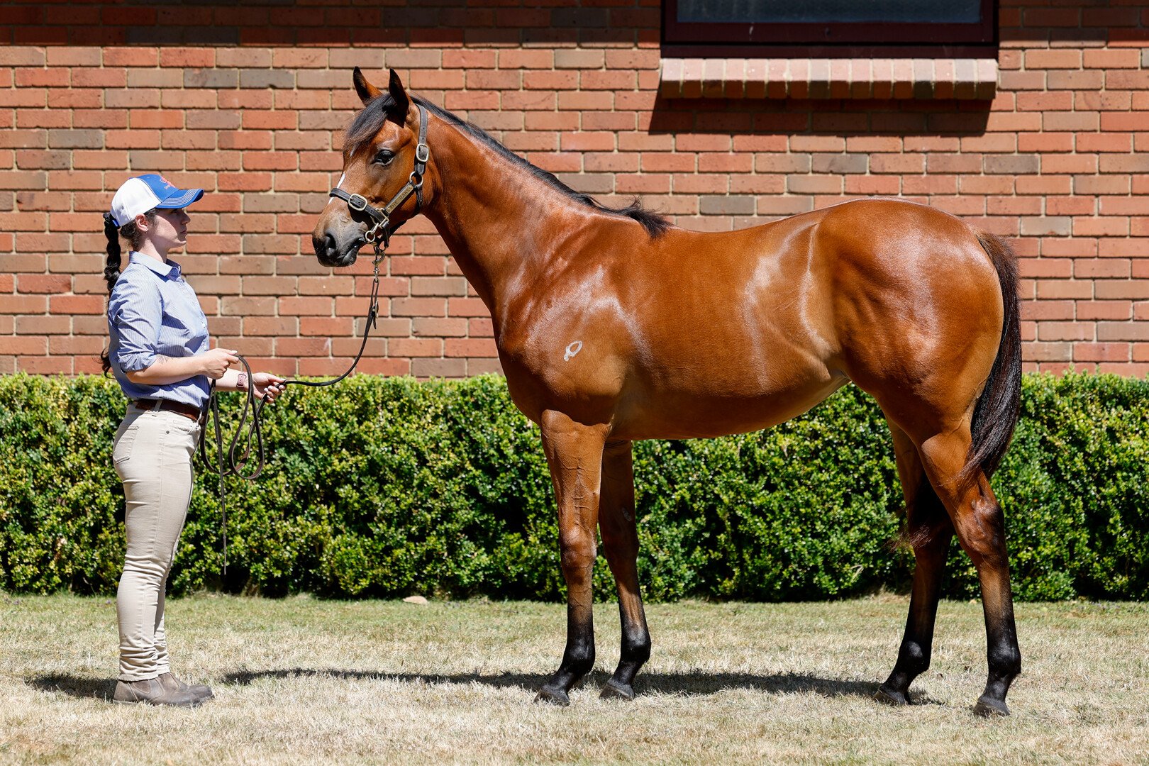 Purchases — Marsh Racing