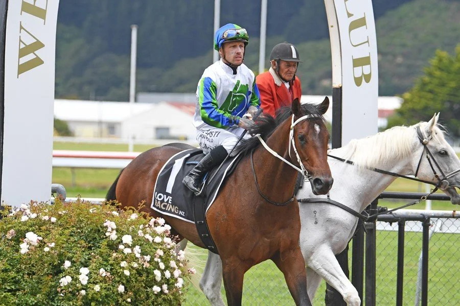 Newsletters — Marsh Racing