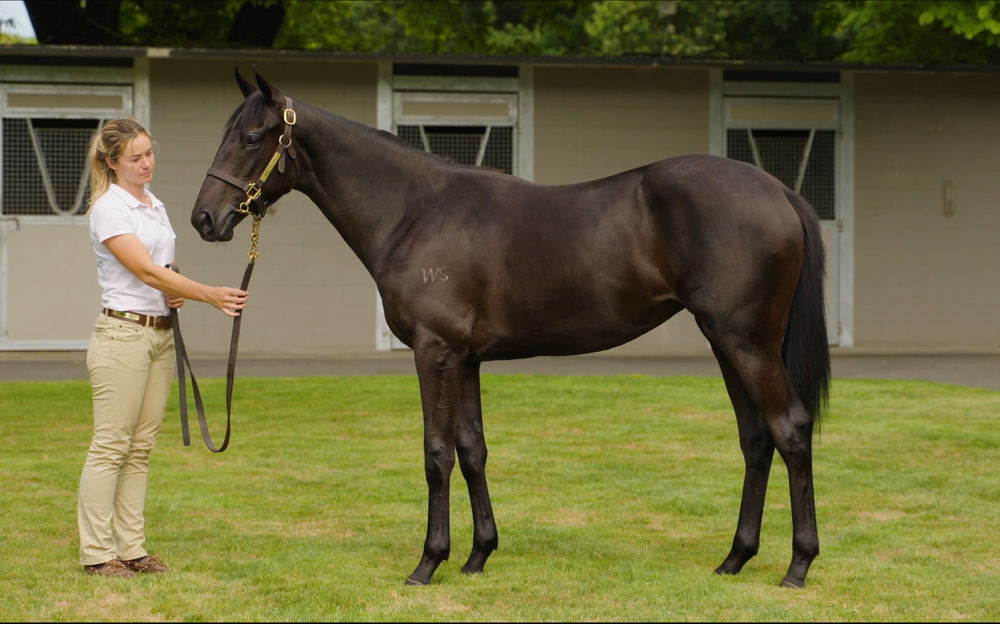 Purchases — Marsh Racing