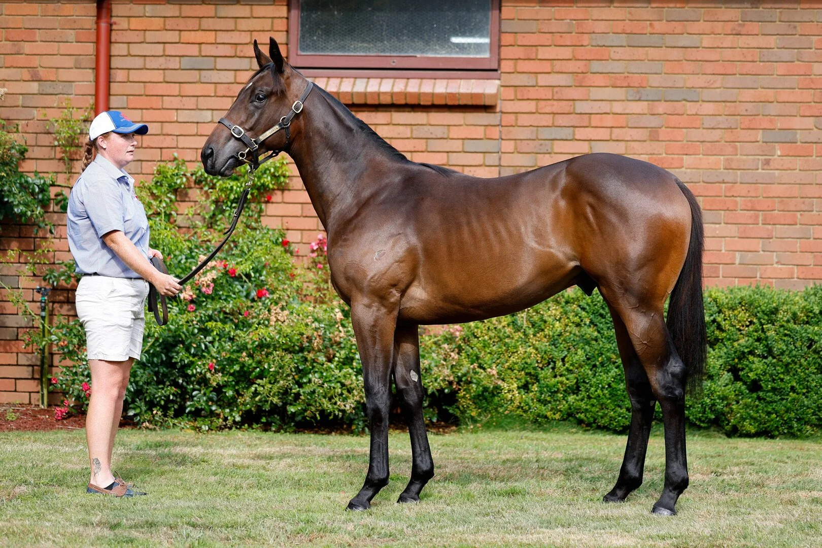 Purchases — Marsh Racing