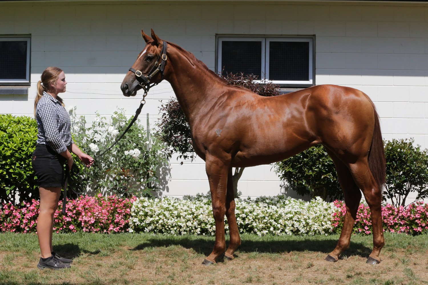 Purchases — Marsh Racing