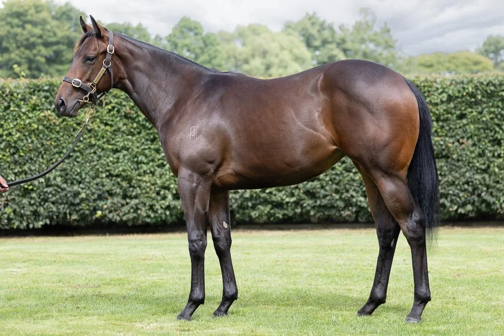 Purchases — Marsh Racing