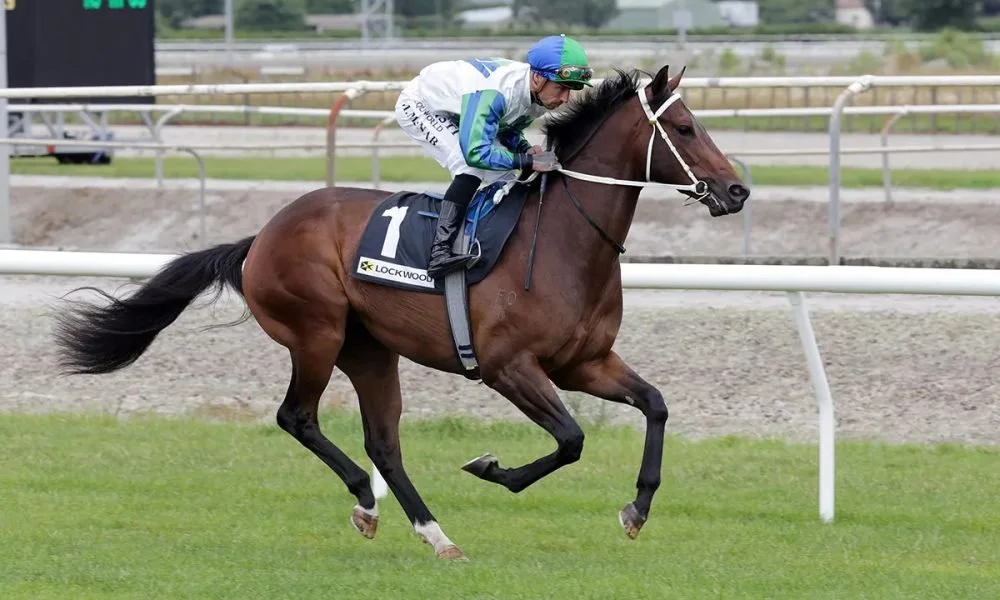 Newsletters — Marsh Racing