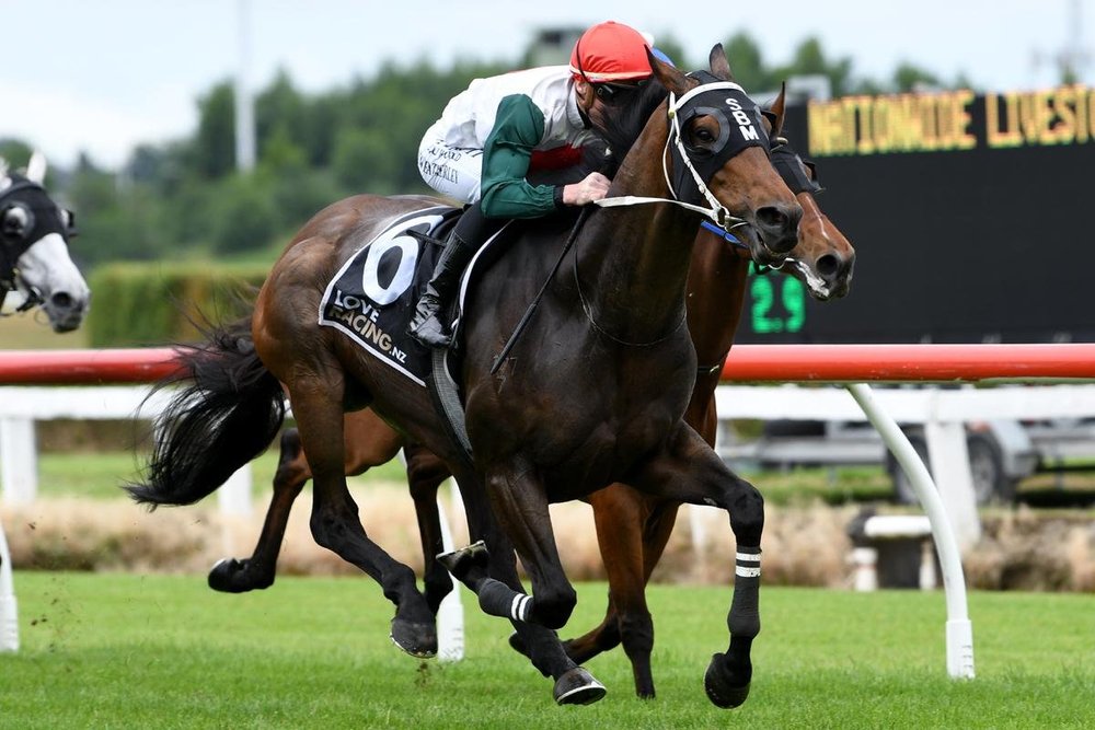 Newsletters — Marsh Racing