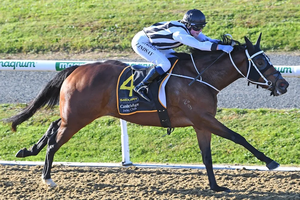 Newsletters — Marsh Racing