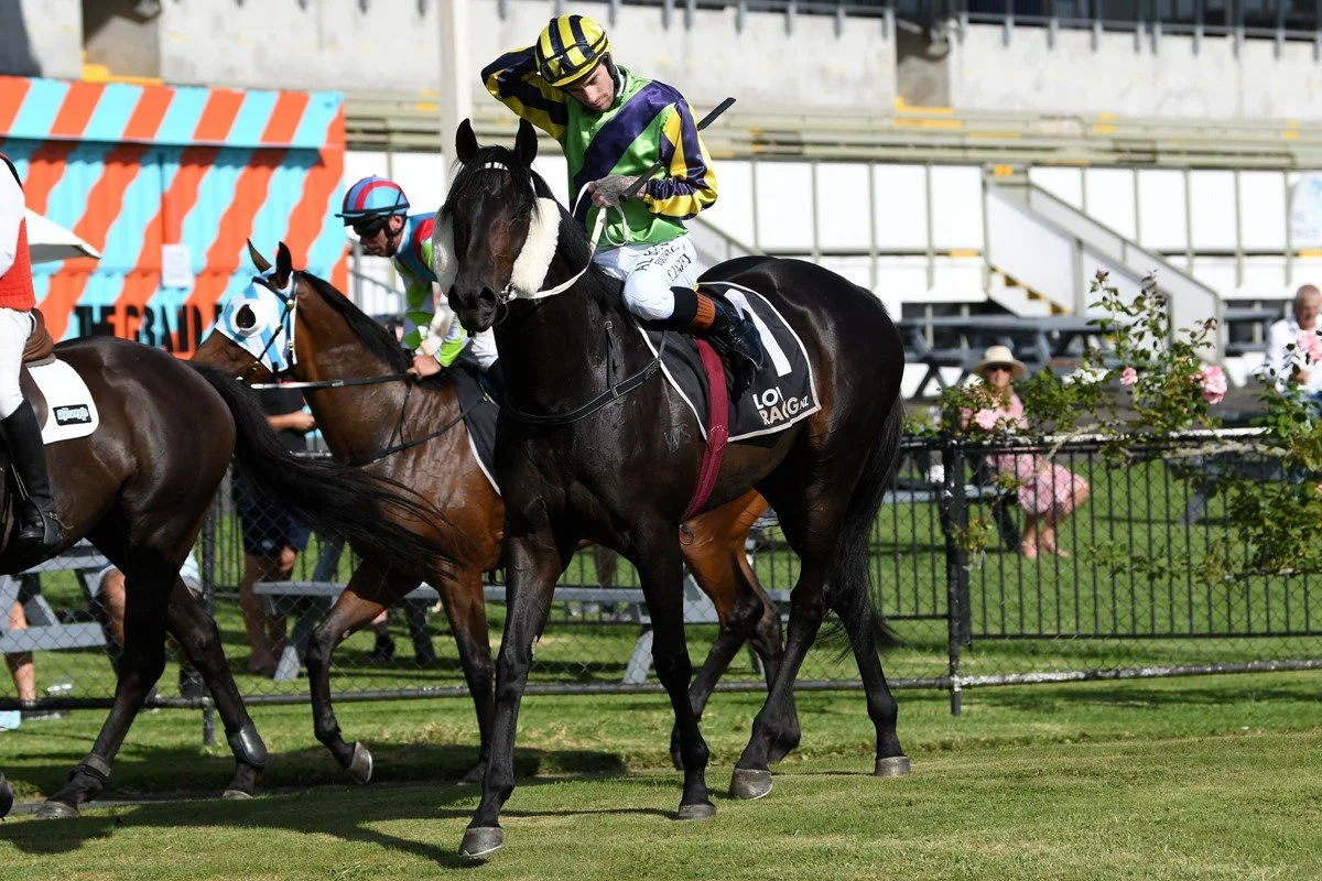 In The News — Marsh Racing