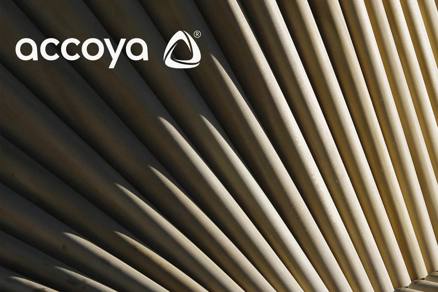 ape studio — moveart