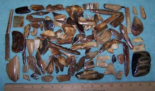 Different types of ivory and how to identify them — Capita Mortua Arts