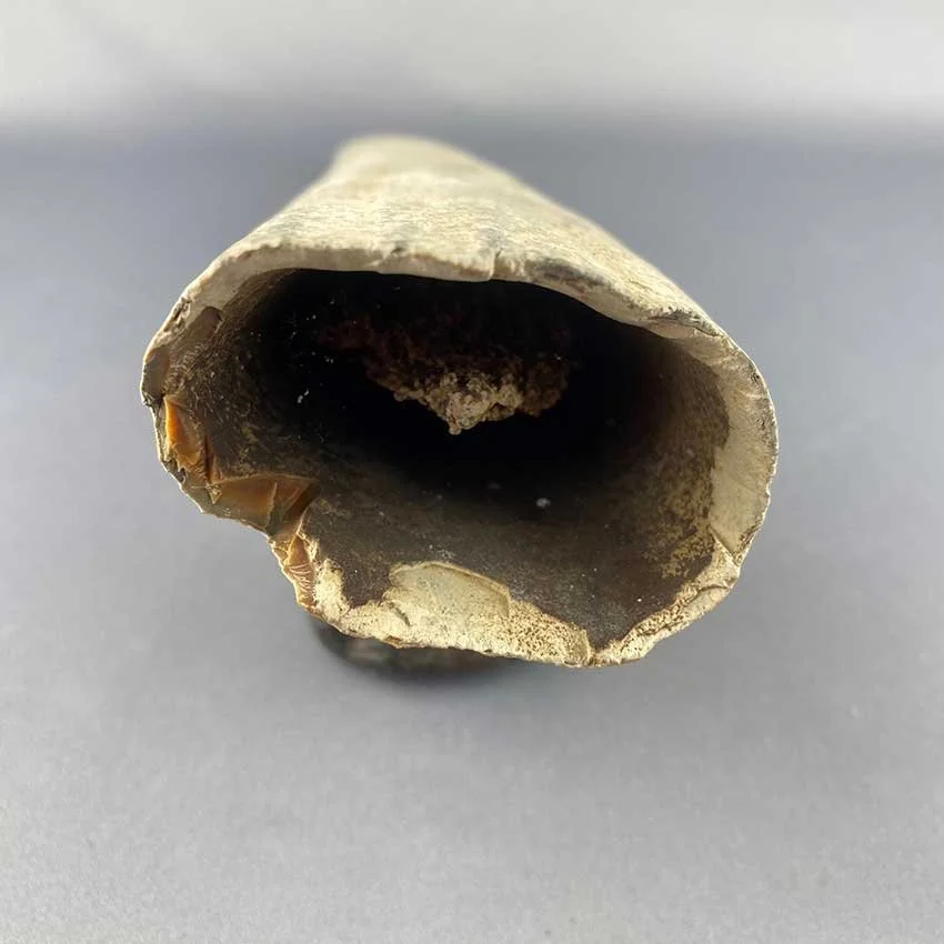 Different types of ivory and how to identify them — Capita Mortua Arts