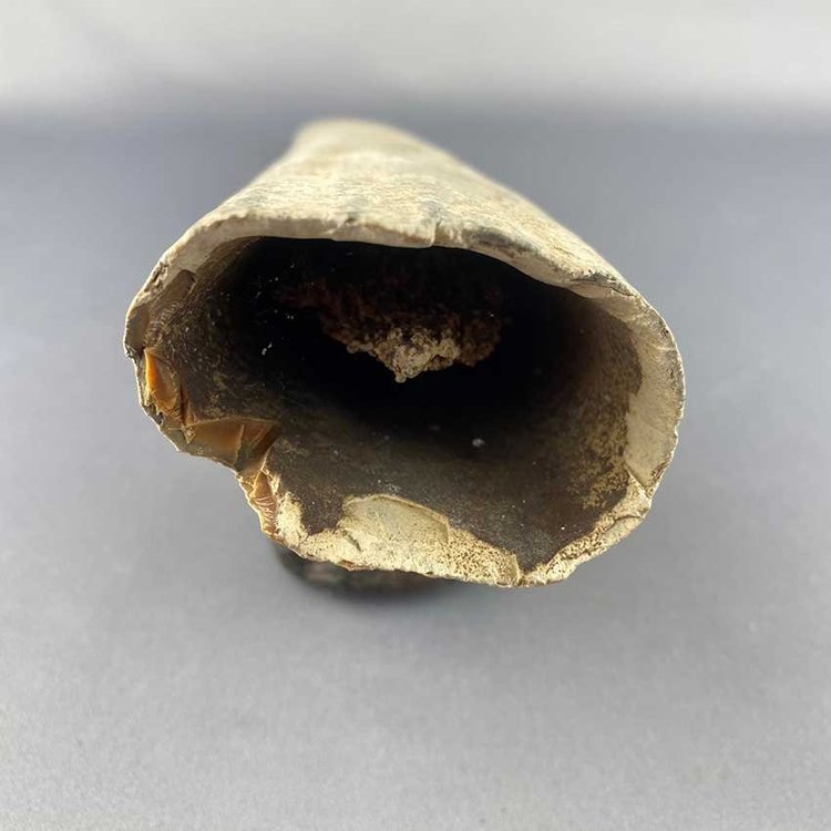 Different types of ivory and how to identify them — Capita Mortua Arts