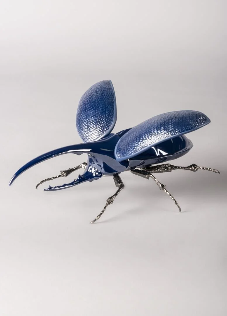 Hercules Beetle Wings
