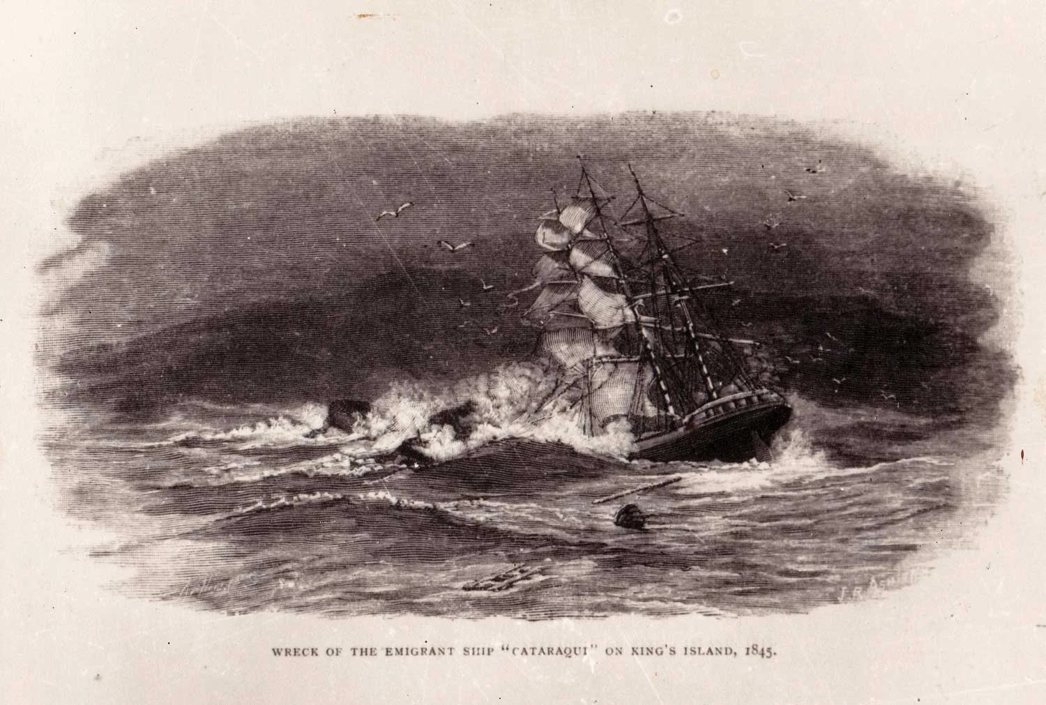History of King Island — Sarah Kate Hinder