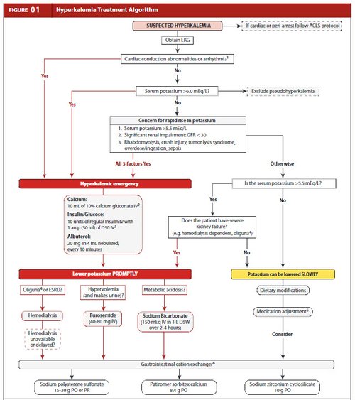 hyperkalemia — Treatment Pathways — EMCREG-International