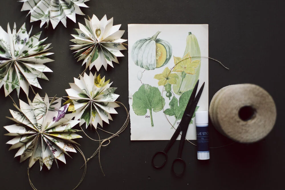 Éva Németh-Paper Stars