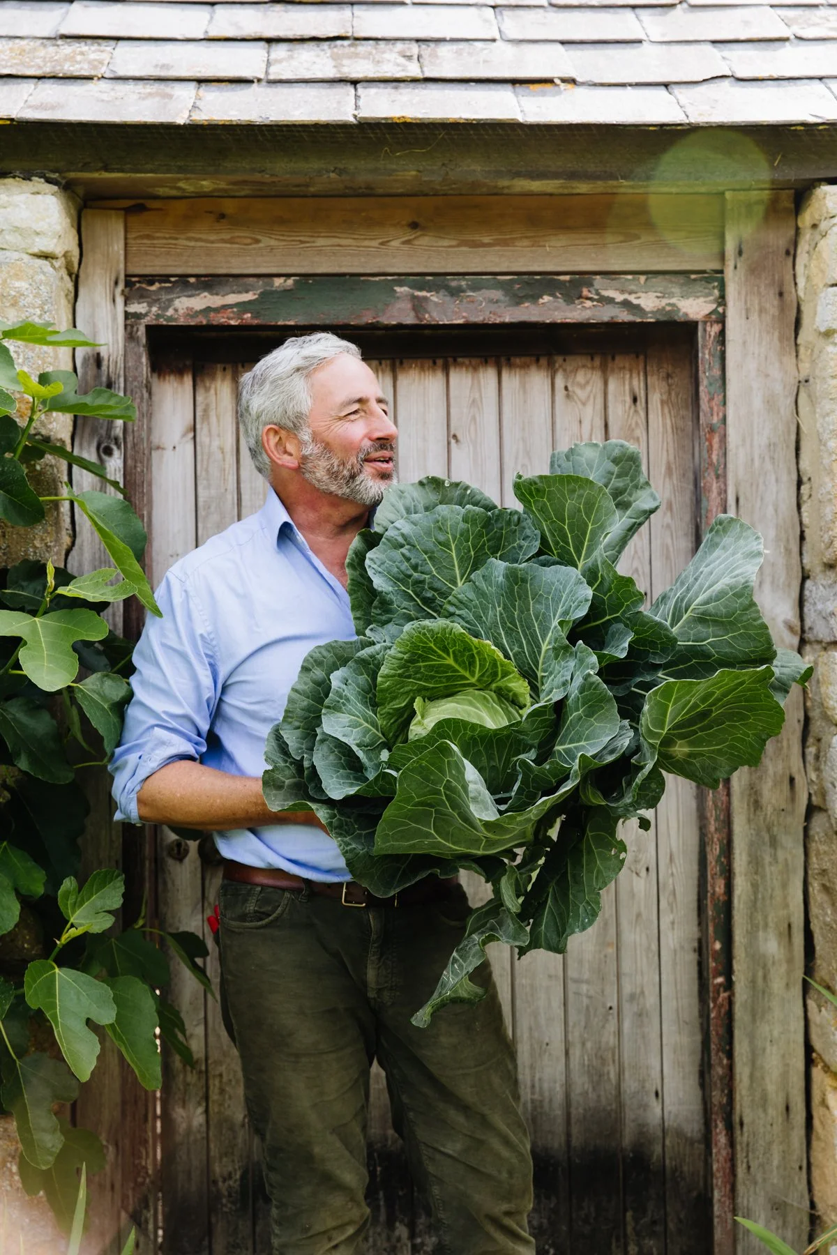 Éva Németh-Portraits of Gardeners