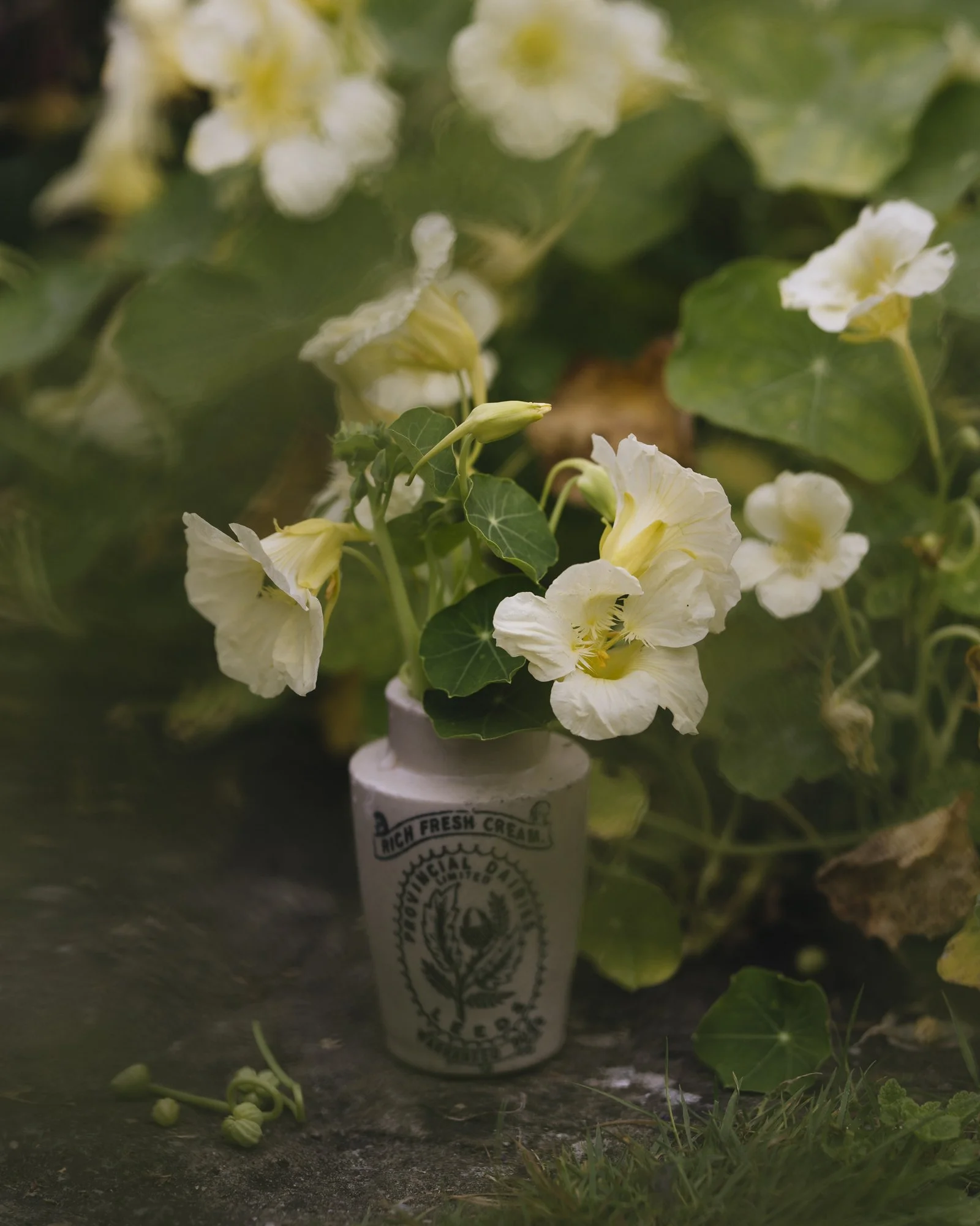 Éva Németh-One-to-One and Online photography classes I UK based ...