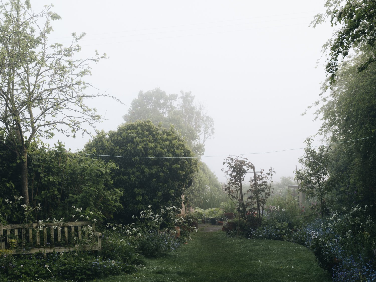 Éva Németh-The Garden