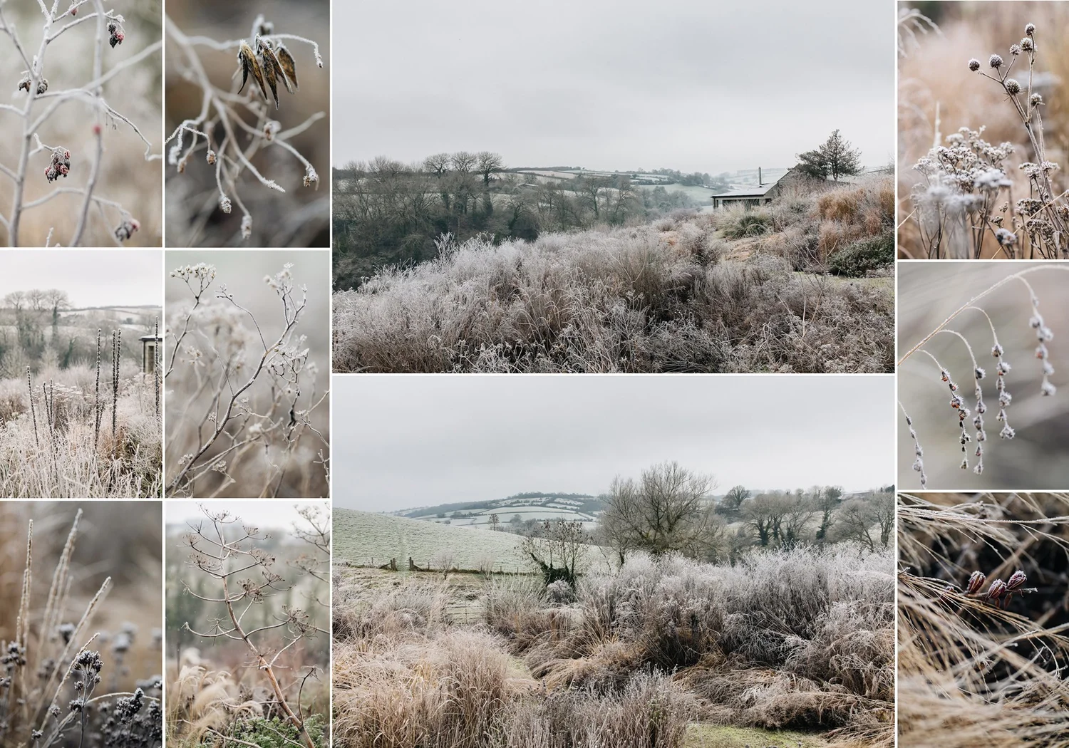 Éva Németh-gardens