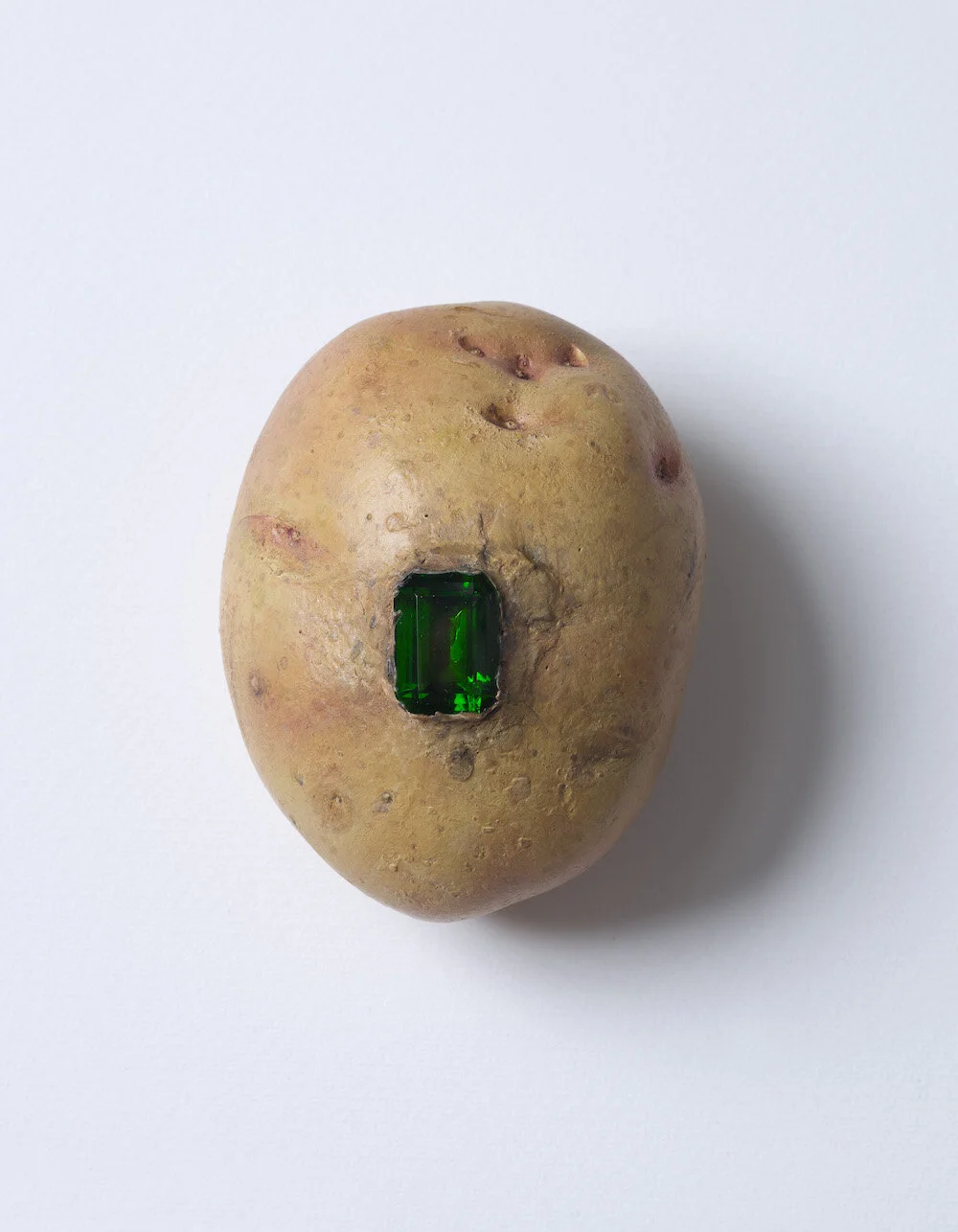 Derrick Guild interview — The Curator's Salon