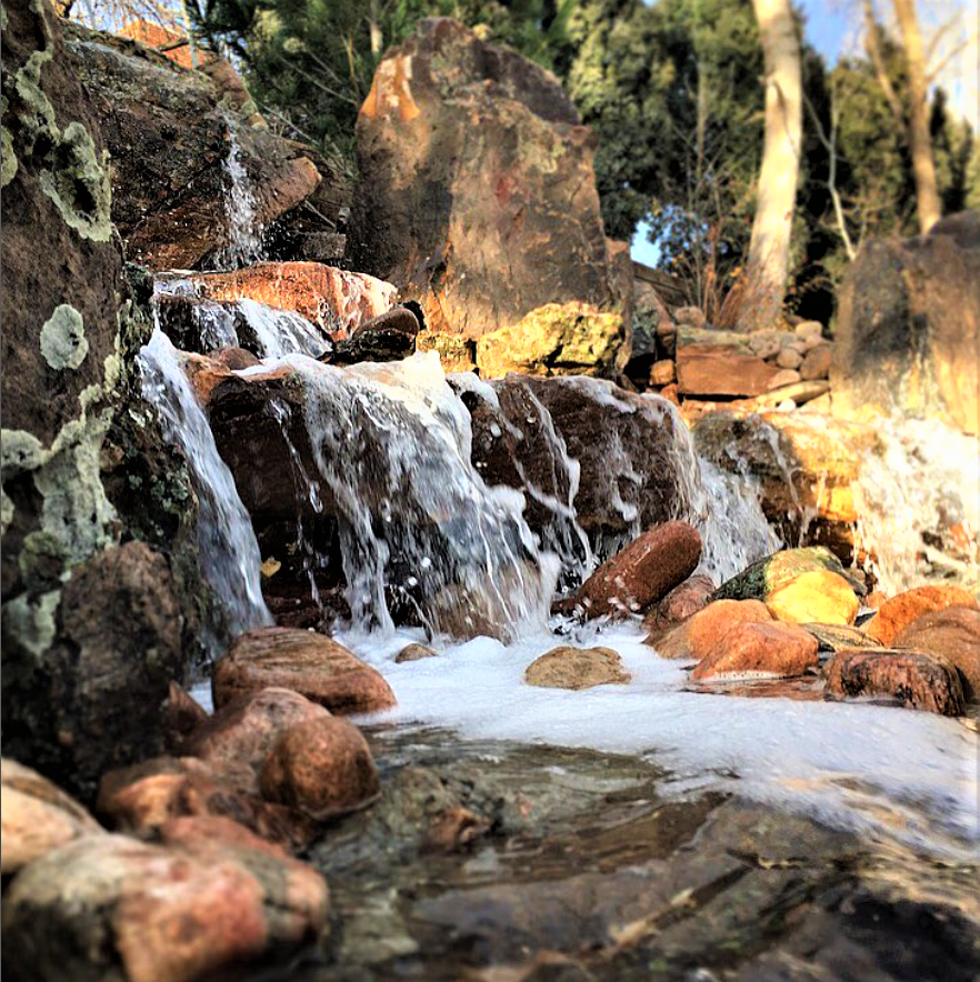 Pond in Progress — Professional Ponds