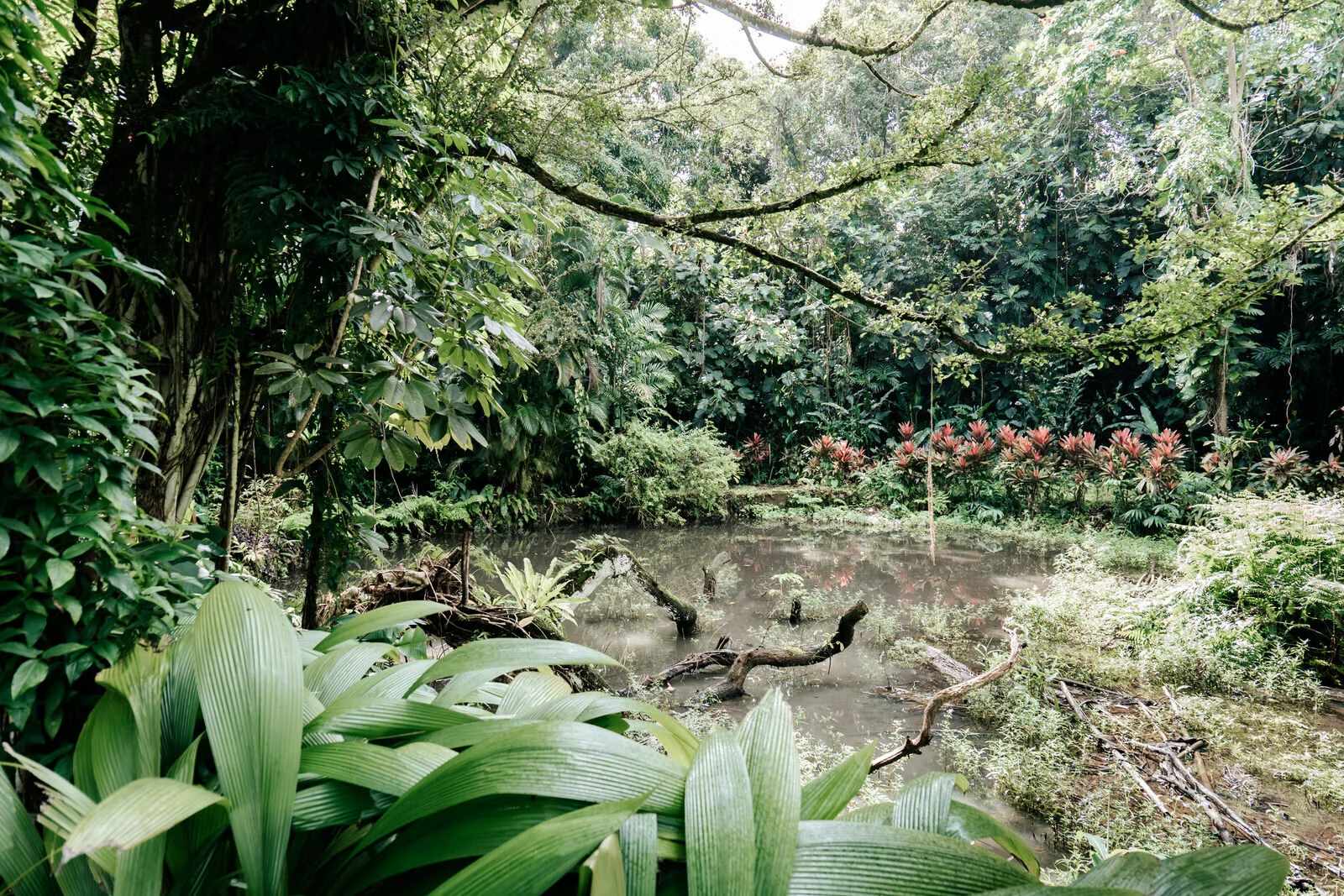 Haiku Gardens | Oahu Wedding Venues — HNL STUDIOS