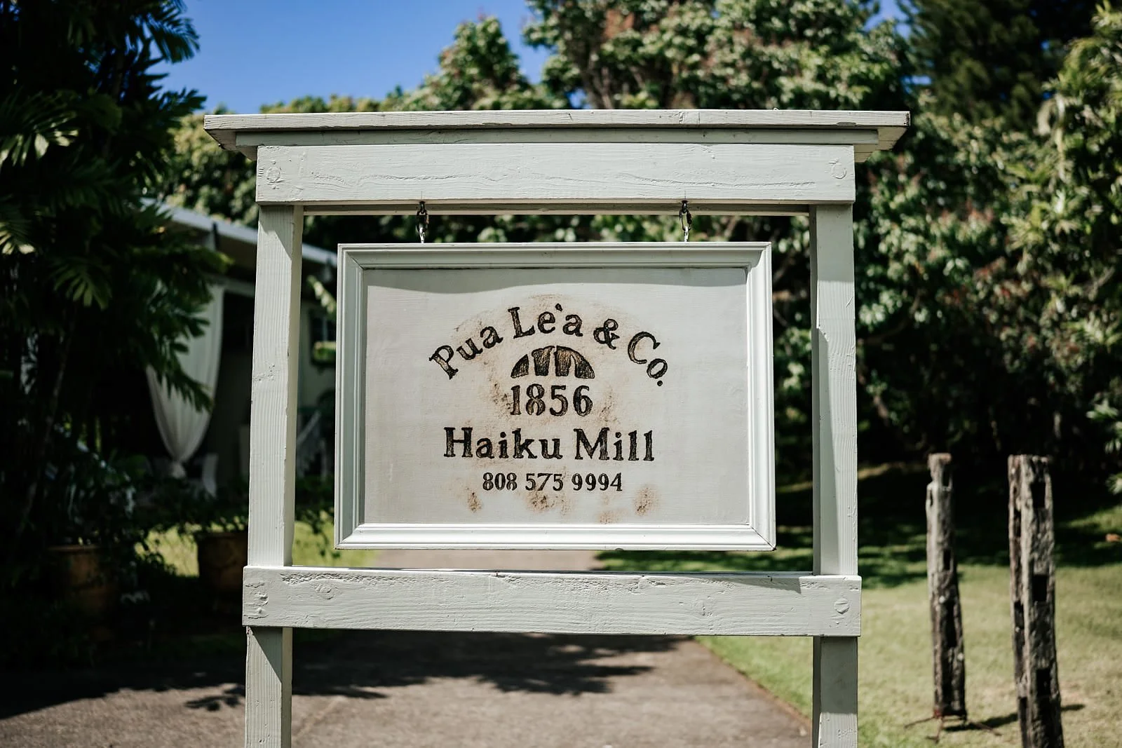 All you need to know about weddings at Haiku Mill — HNL STUDIOS