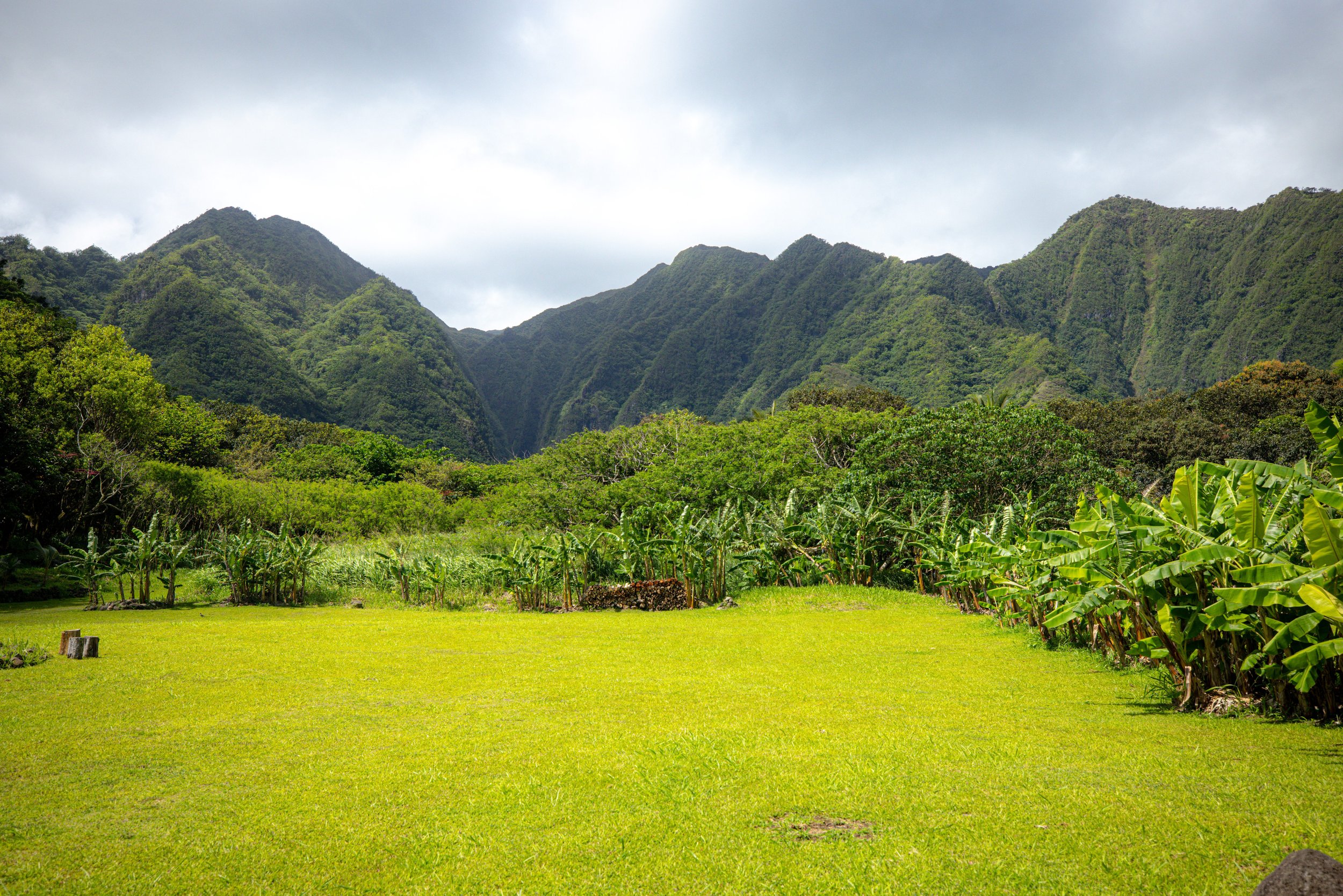 Everything you need to know about weddings at Koolauloa Foundation in ...