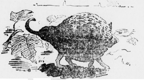 Fearsome Critters — THE PINE BARRENS INSTITUTE