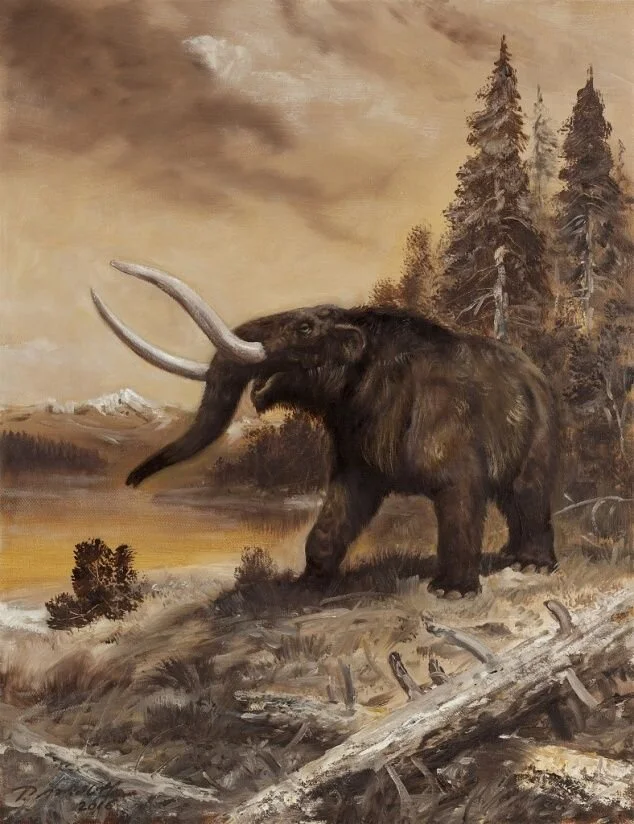 Folklore Profile: The Mini Mastodons of Wisconsin — THE PINE BARRENS ...