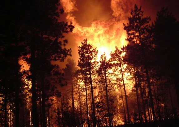 Cryptid/Folklore Profiles — THE PINE BARRENS INSTITUTE