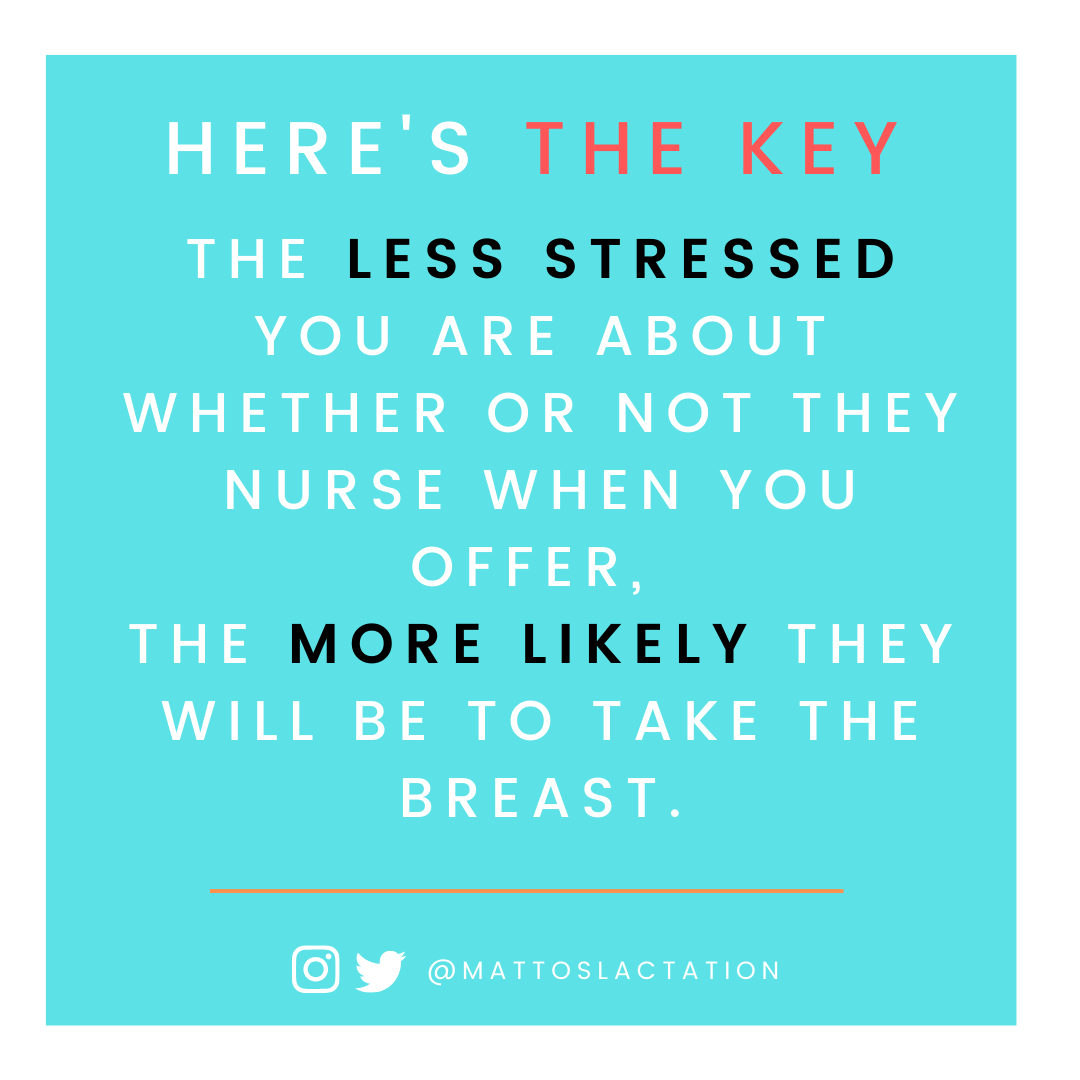 Overcoming Post Holiday Nursing Strike Holiday Breast Refusal