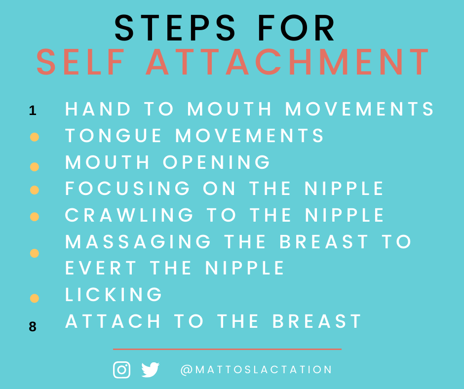 The Science of Latching — Mattos Lactation