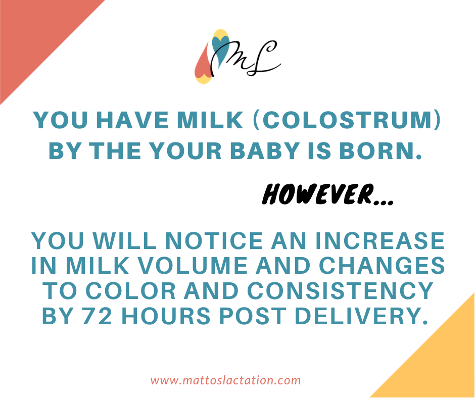 Stages of Lactation — Mattos Lactation