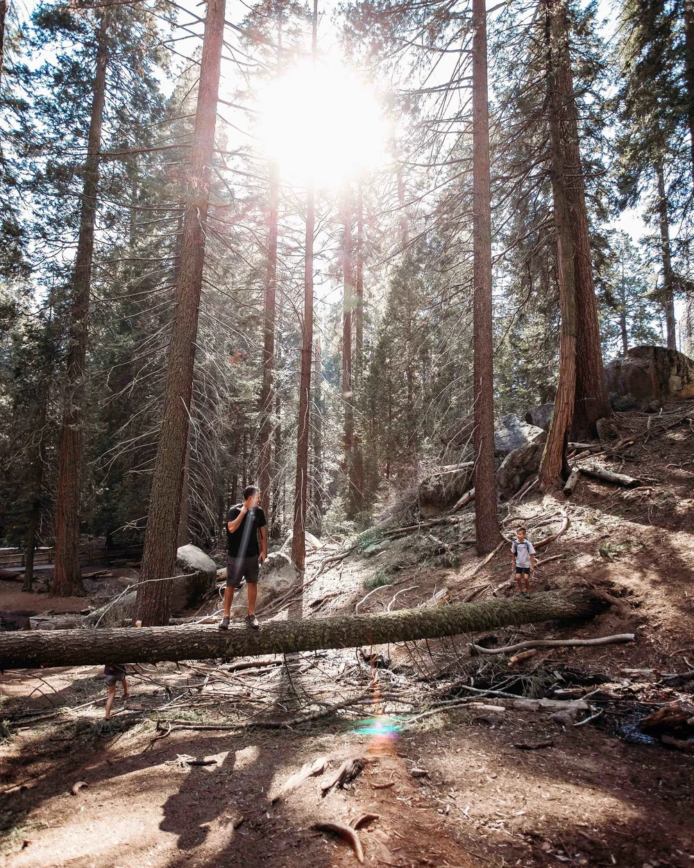 Kings Canyon and Sequoia National Parks — The Wanderpreneurs - A Full ...