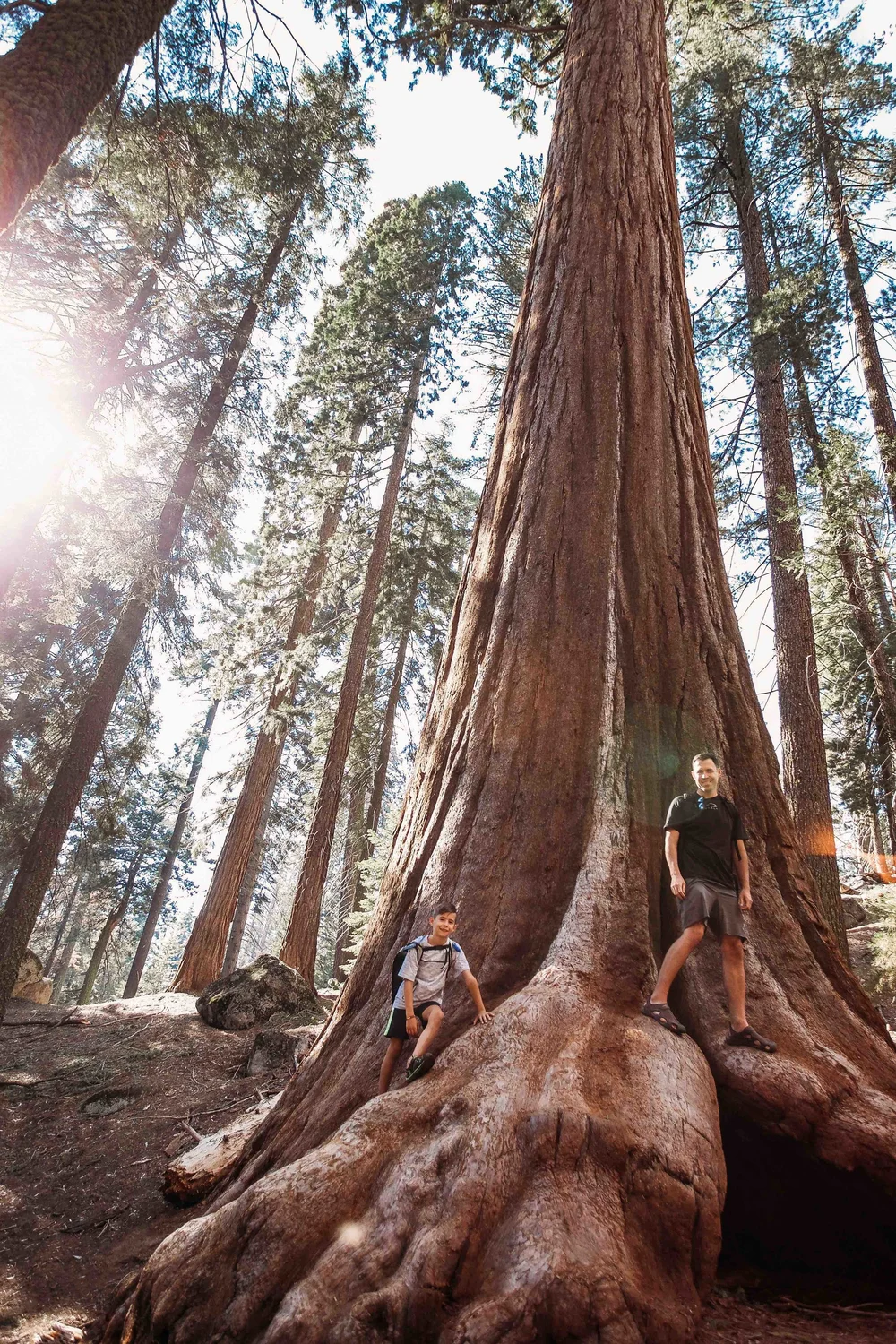 Kings Canyon and Sequoia National Parks — The Wanderpreneurs - A Full ...