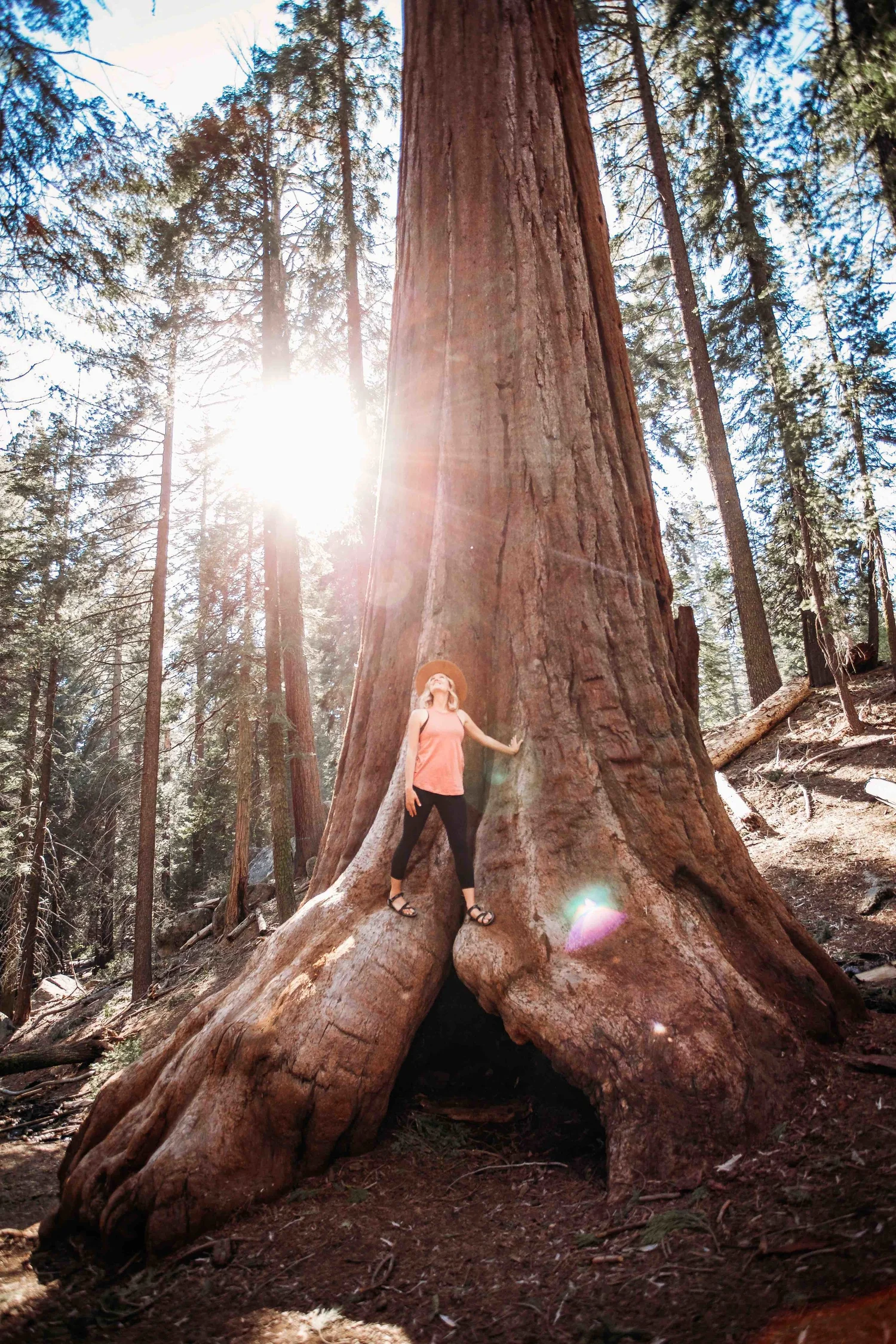 Kings Canyon and Sequoia National Parks — The Wanderpreneurs - A Full ...