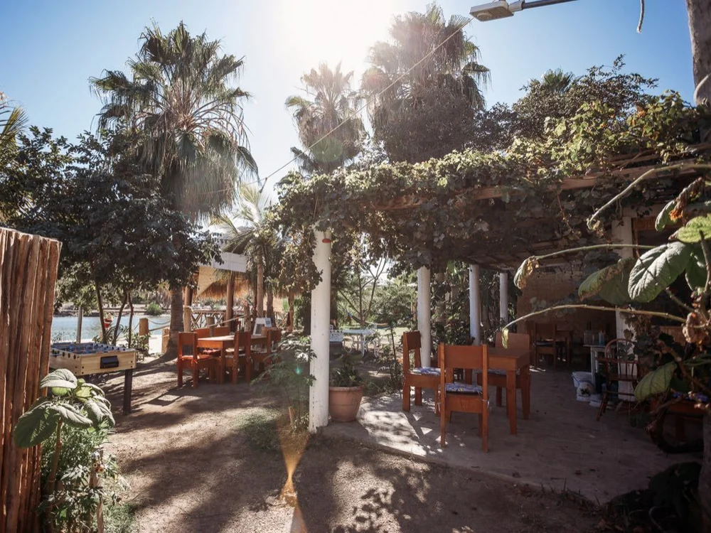 RV Campground Review: Huerta Don Chano RV Park, Mulegé, BCS Mexico ...