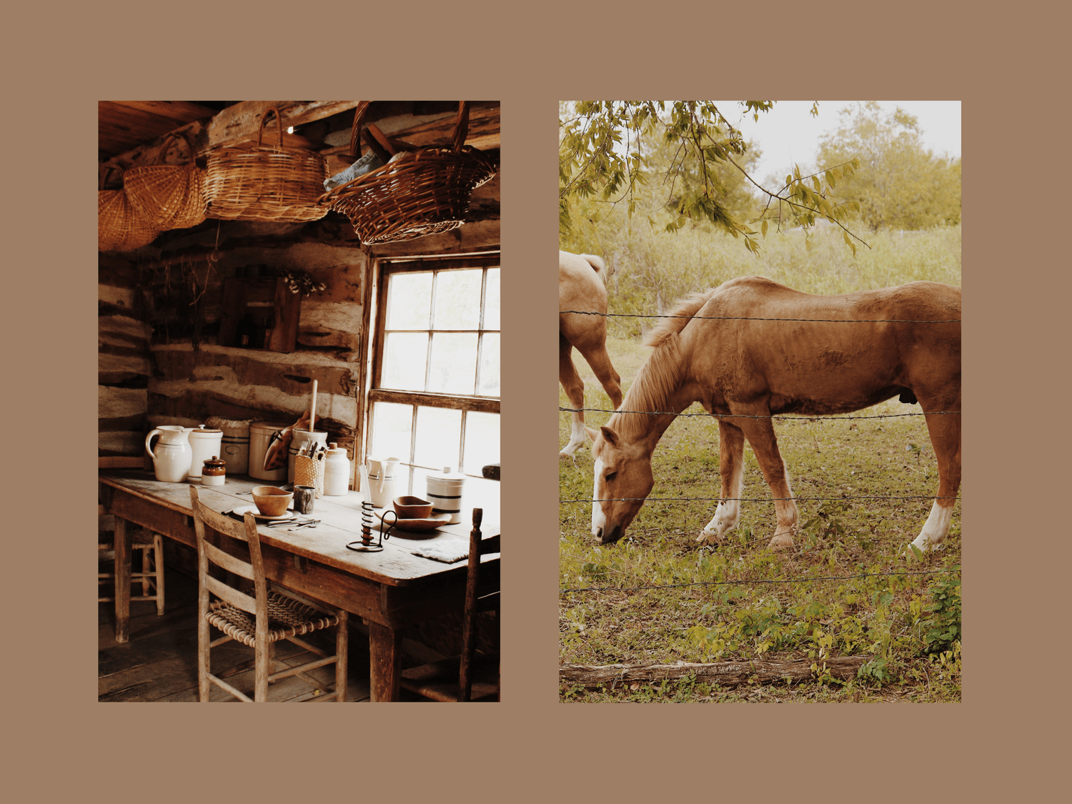 Photo Story: Capturing Sunny Cottagecore Vibes — afterglow