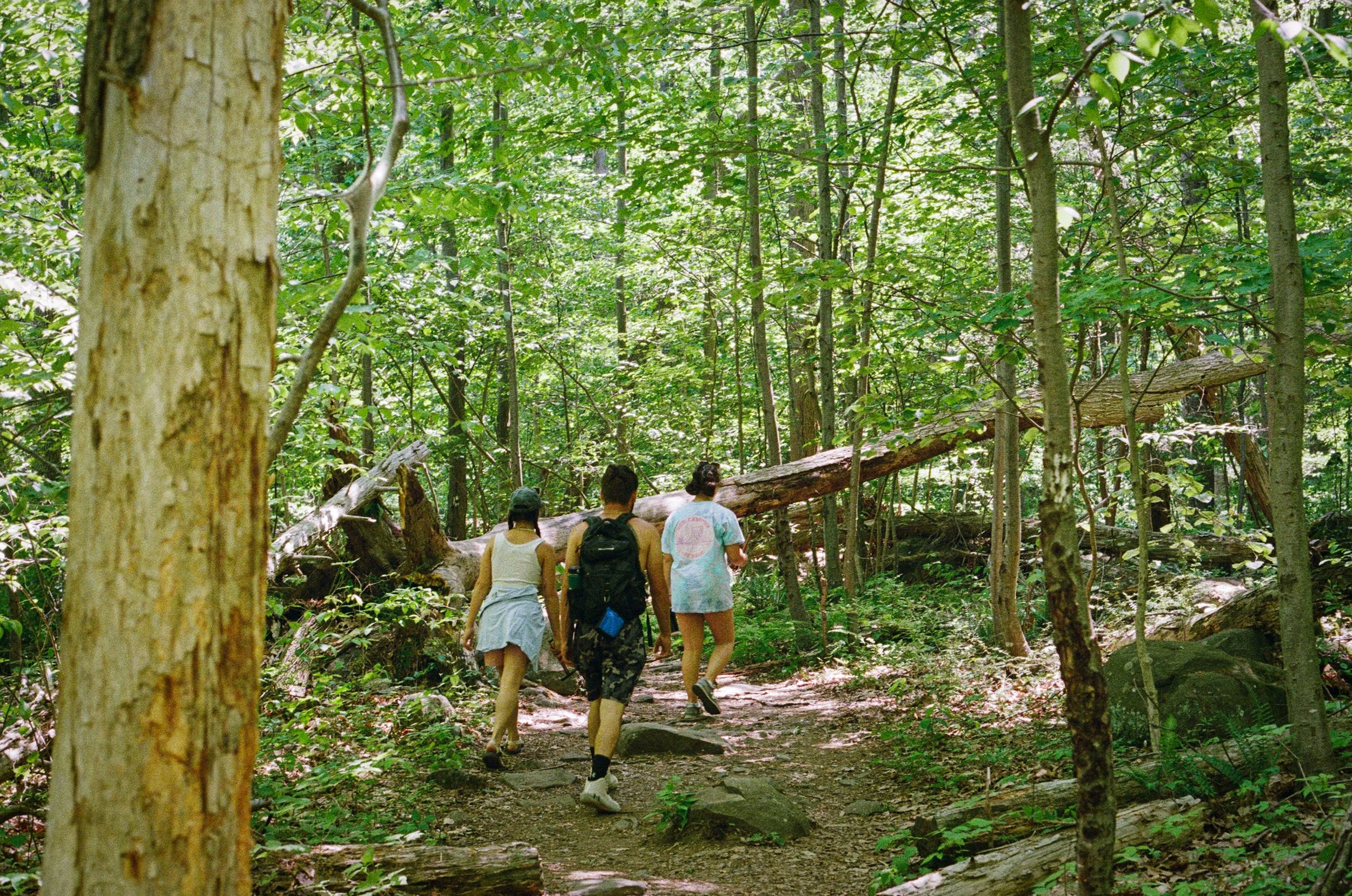 I’m Mean Because I Grew Up in New England, A Collection of New England ...