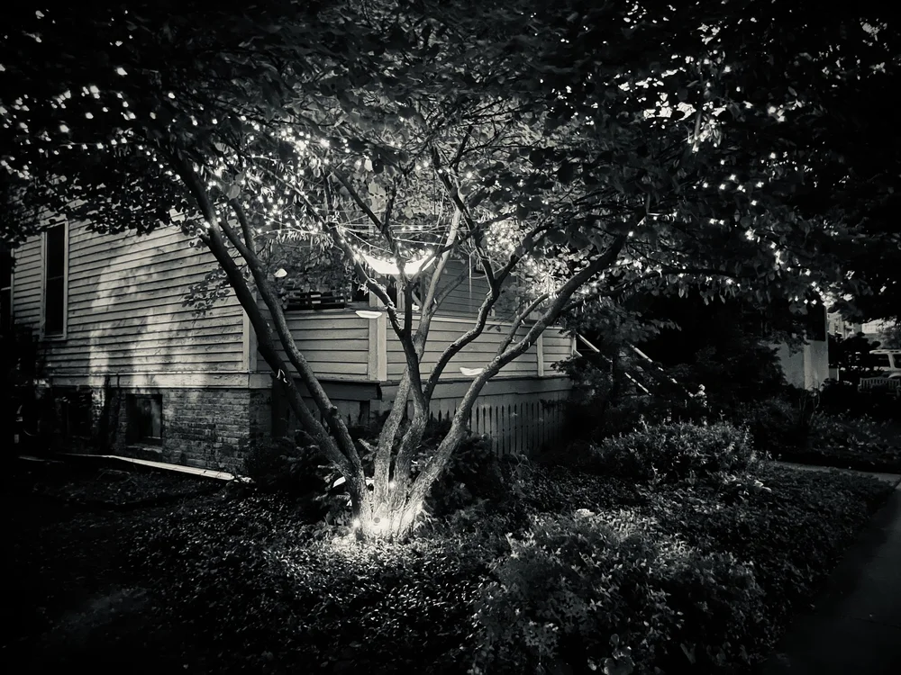 Vigil Installation Alice George 2022 — Alice George