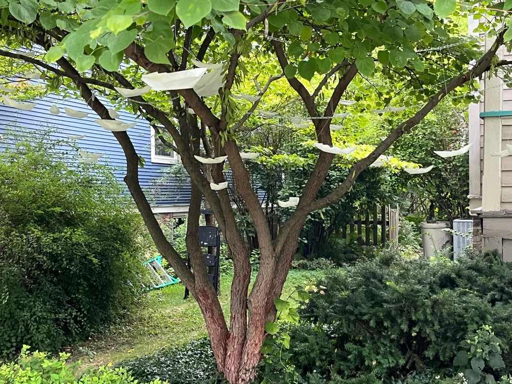 Vigil Installation Alice George 2022 — Alice George