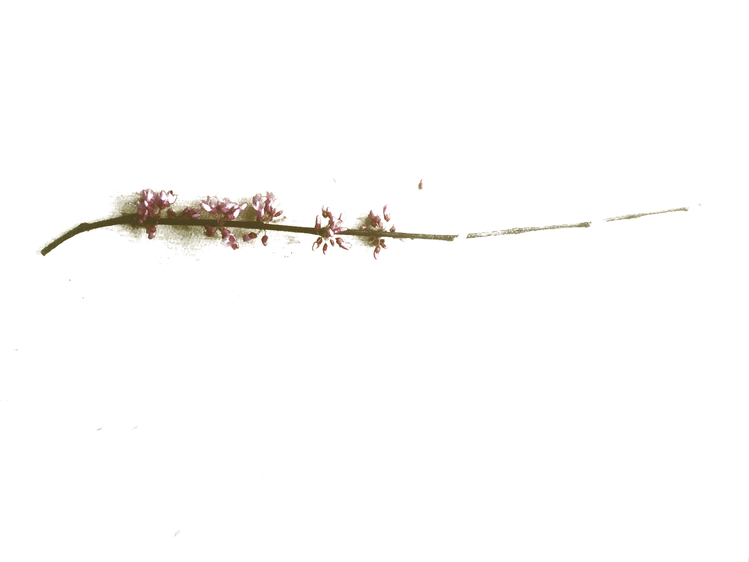 Vigil Installation Alice George 2022 — Alice George