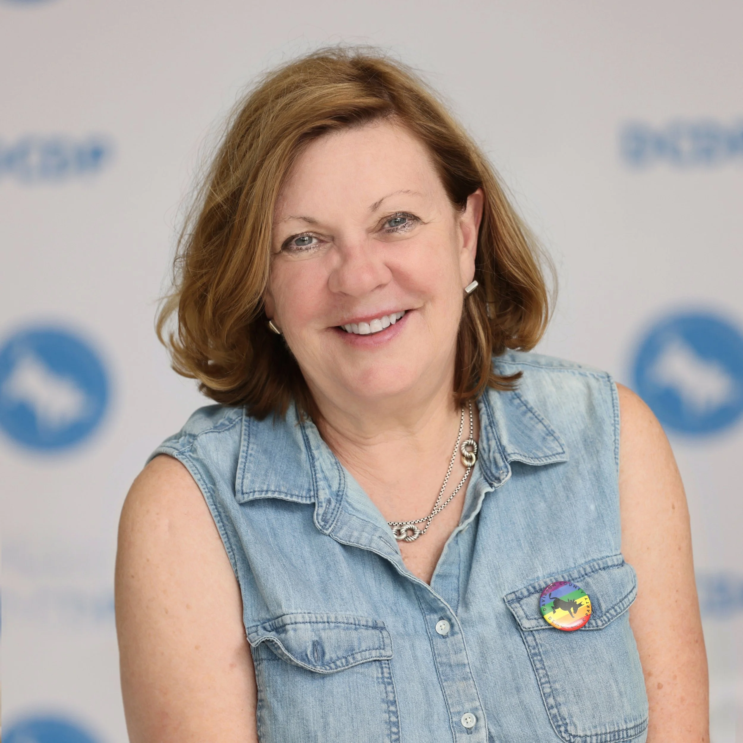 ABOUT — Davidson Democrats