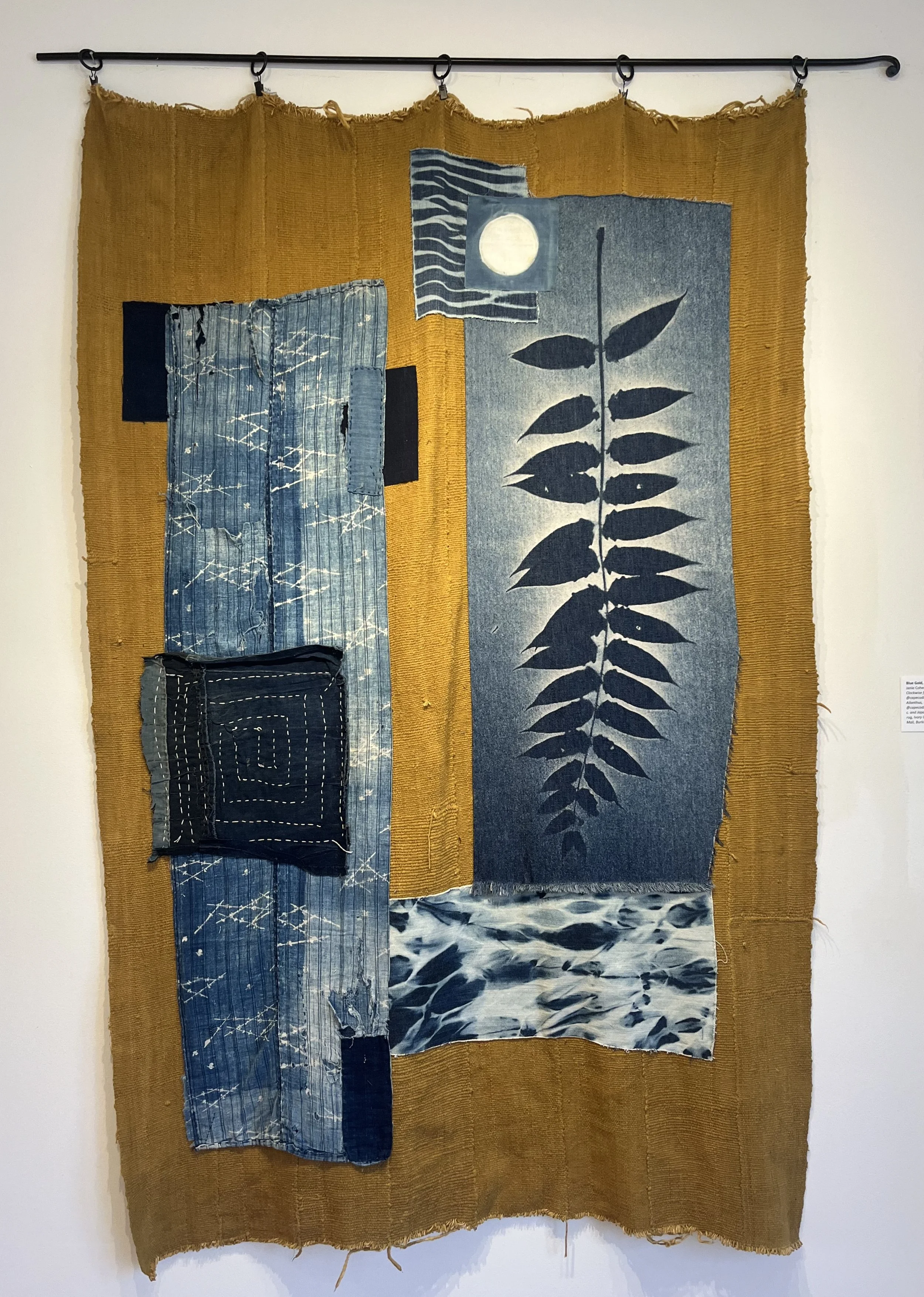 Blue Gold — janie cohen