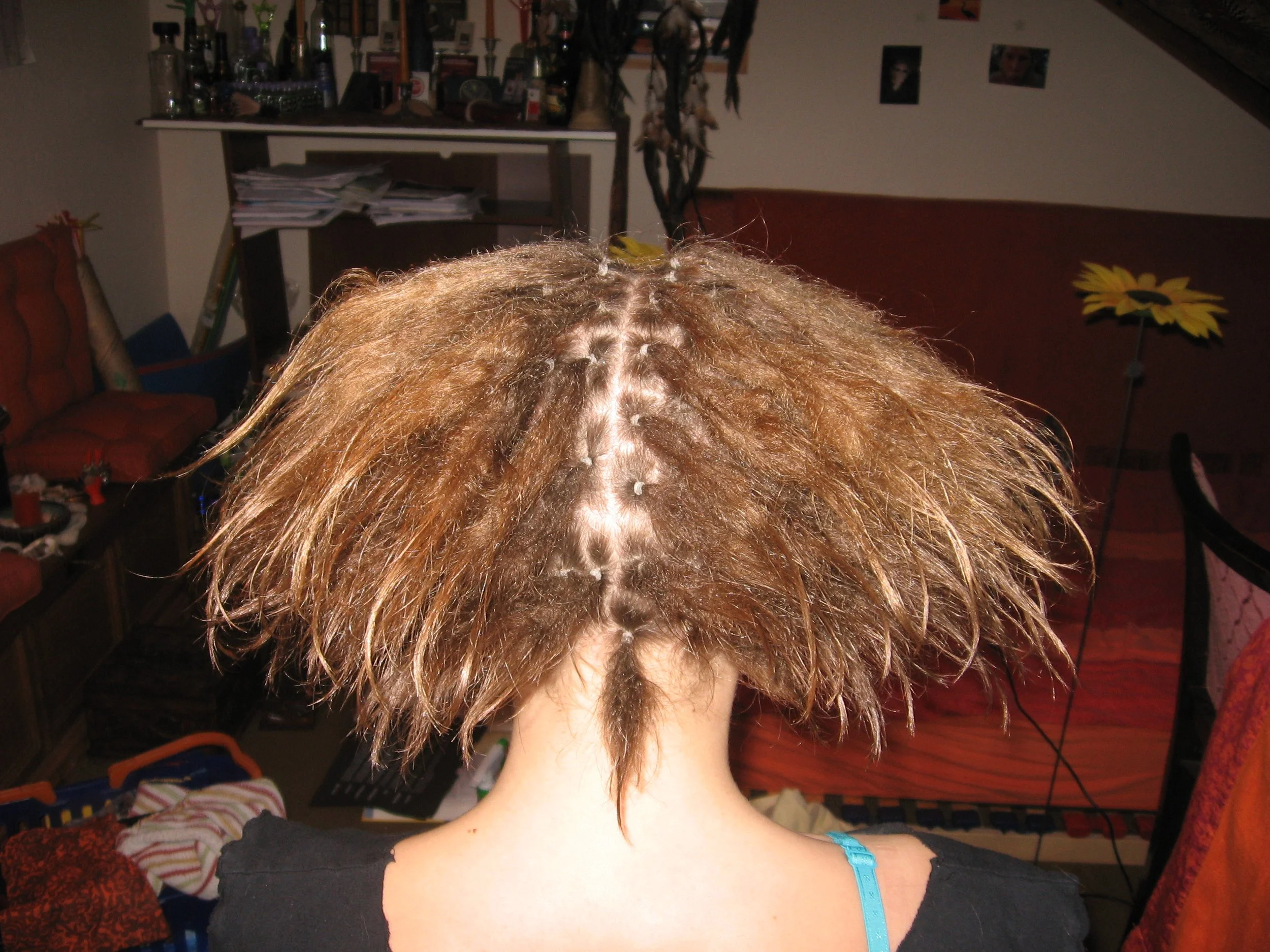 7 Easy Tips for Maintaining Short Dreadlocks | Westport Hair & Co.