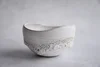 White Lichen Glaze Powder — Crawling / Lichen Texture Glaze — Laima ...