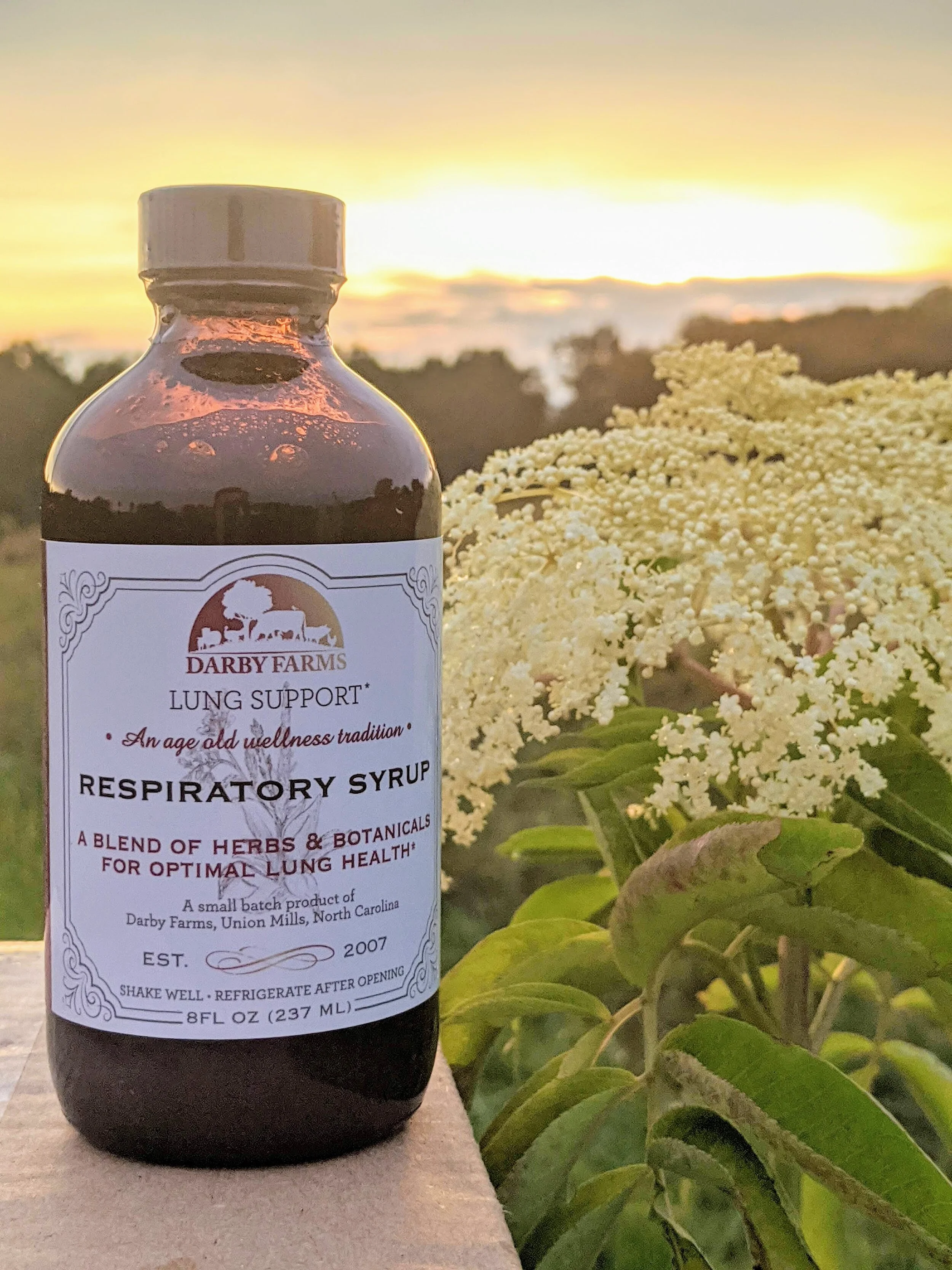 Darby Farms Local Elderberry, Respiratory Syrups and Wellness Products