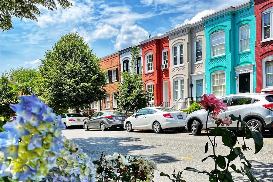 Dc Row Houses Radical Preservation: 19 Historic Row Houses Merge At