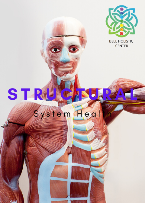 Complete Body system — Bell Holistic Center Inc.